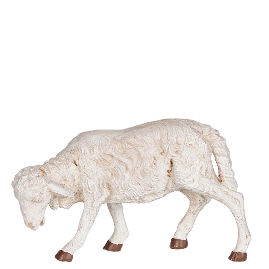 12 Inch Scale Sheep, Head Lowered by Fontanini