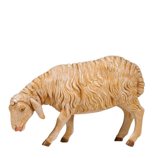 FontaniniStore.com: 27 Inch Scale Sheep by Fontanini