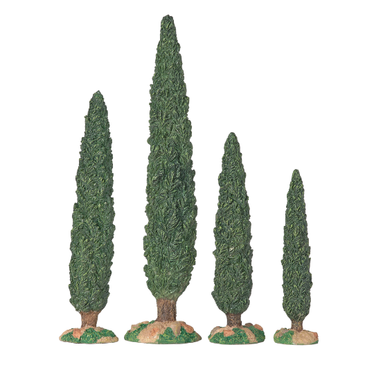 Miniature Italian Cypress Trees